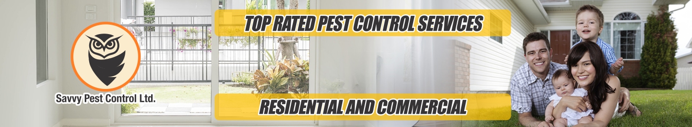 Pest Control Edmonton Branch | Top-Rated Pest Control Near Me